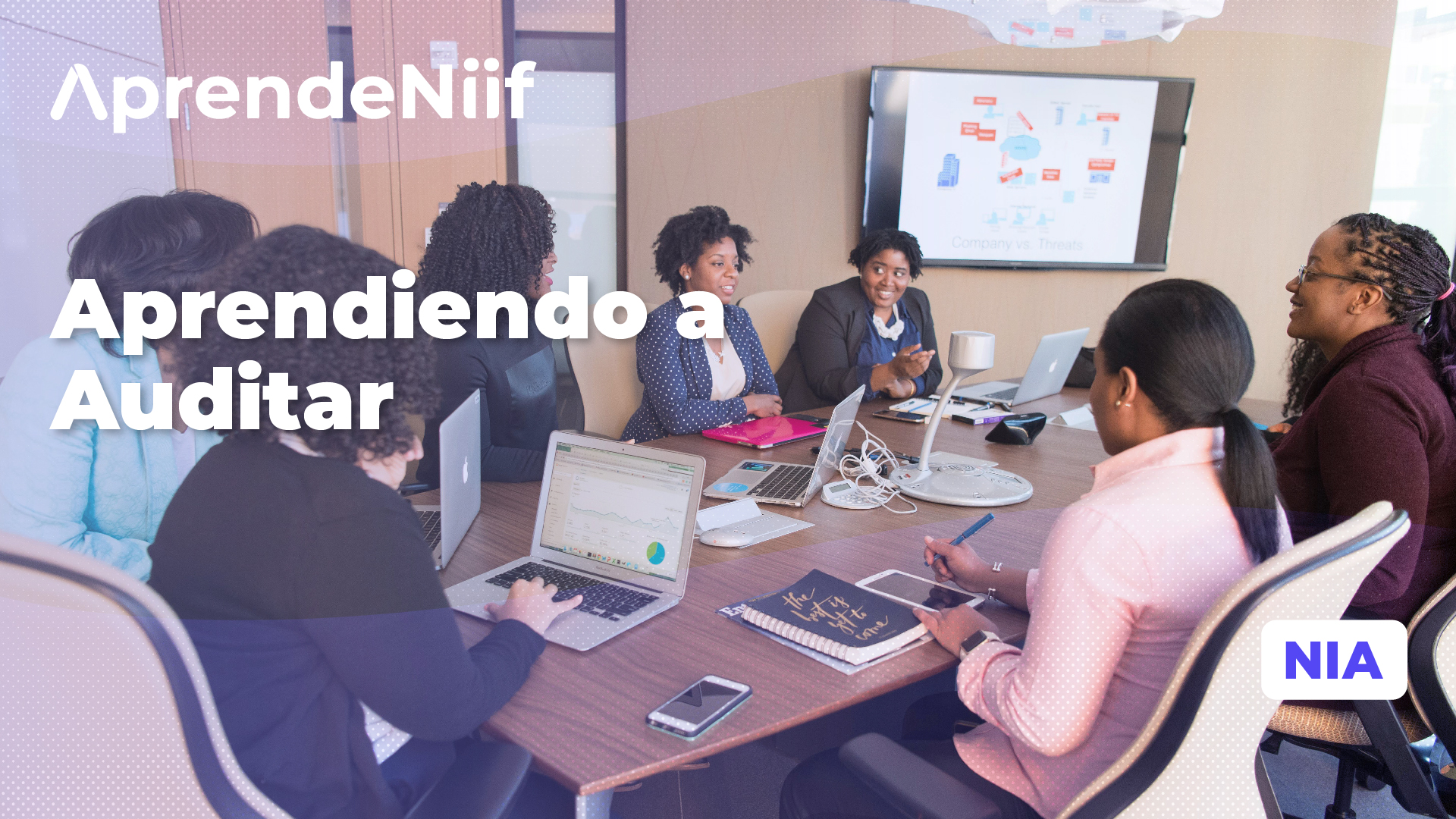 Aprendeniif | Curso Aprendiendo a Auditar
